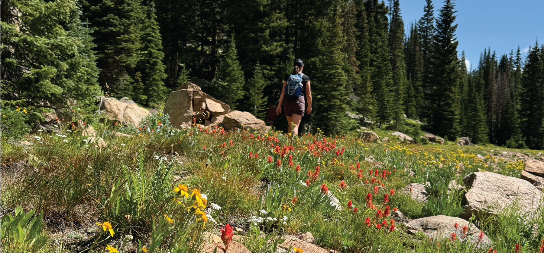 Keystone Vacation Rentals by SummitCove Property Management