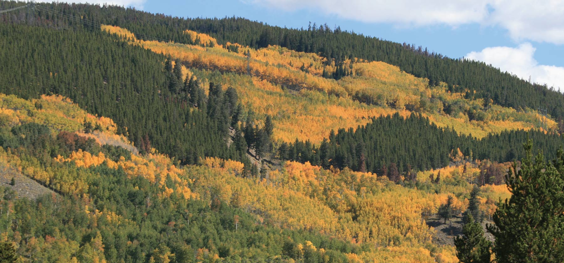 Keystone Vacation Rentals by SummitCove Property Management